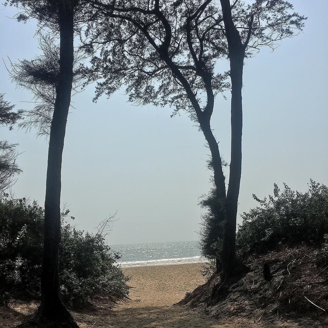 Goa in April 2018 — Top 4 Reasons for Visiting Goa in April