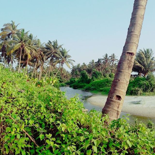 Goa in April 2018 — Top 4 Reasons for Visiting Goa in April