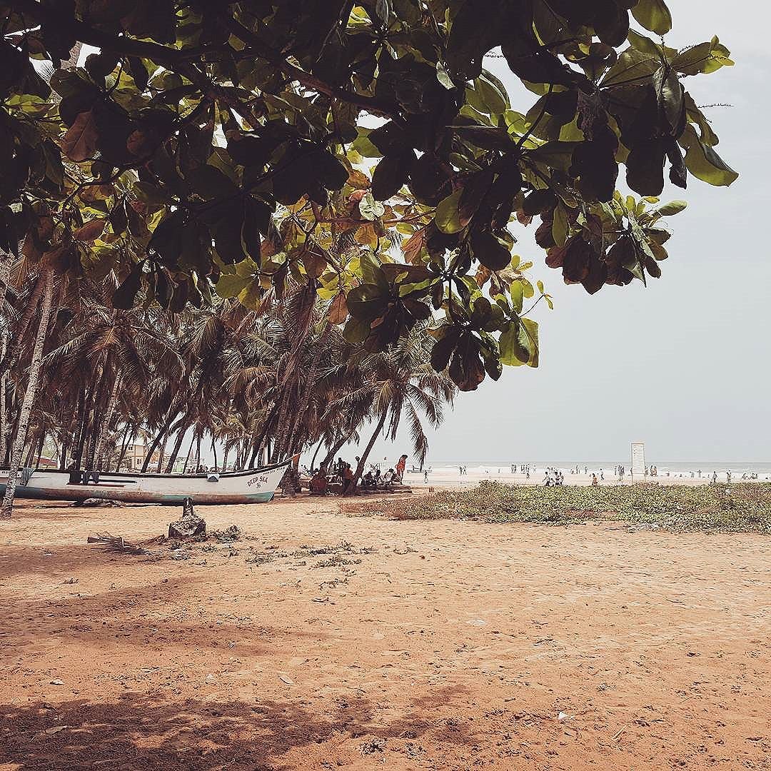 Colva Beach – Travel Guide, Travel Tips, Places to Visit, Hotels and ...