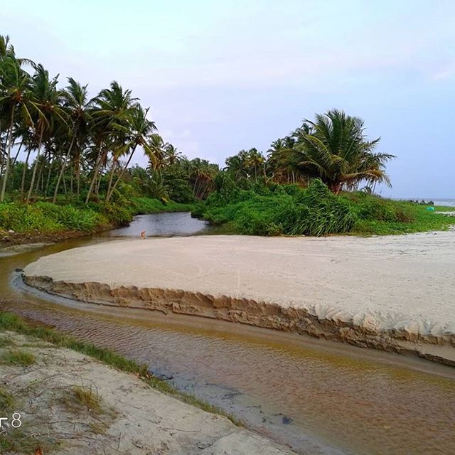 Majorda Beach – Travel Guide, Travel Tips, Places to Visit, Hotels and ...