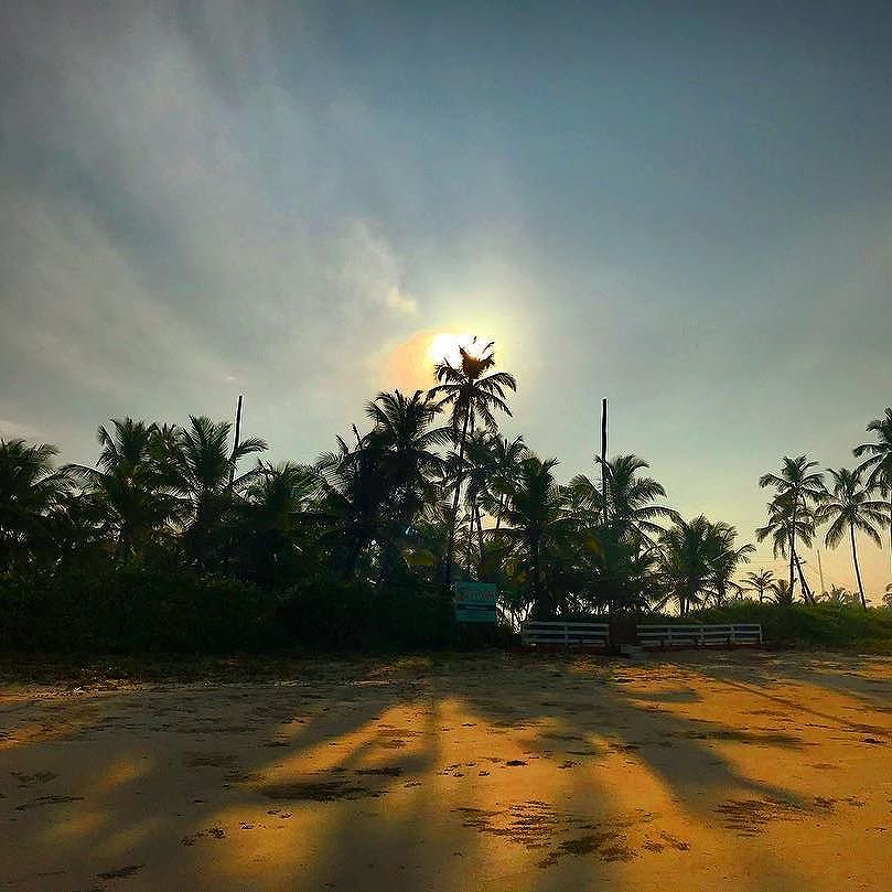 Goa in December 2018 — Top 7 Things To Do In Goa In December