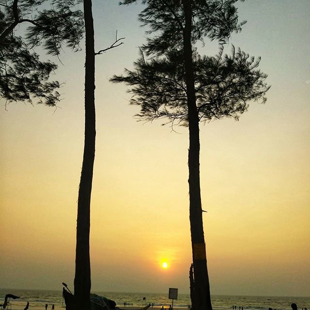 Goa in January 2019 — Top 7 Things To Do In Goa In January