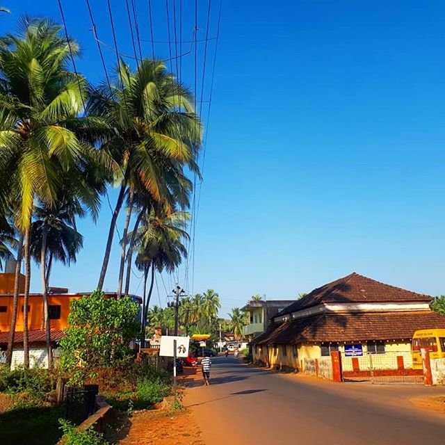 Morjim Beach [Video] – Travel Guide, Travel Tips, Places to Visit ...