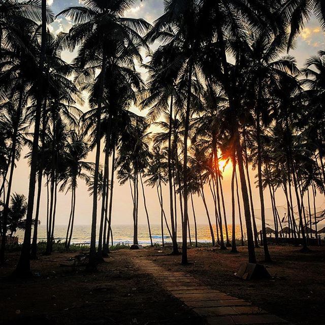 Ashwem Beach – Travel Guide, Travel Tips, Places to Visit, Hotels and ...