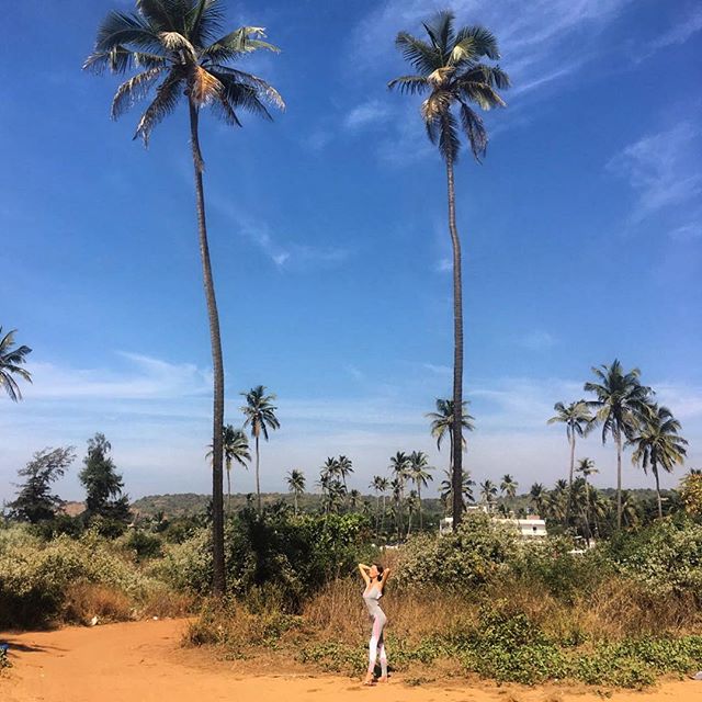 Goa in January 2019 — Top 7 Things To Do In Goa In January