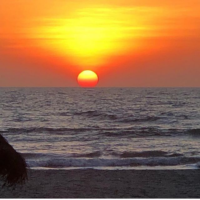 Ashwem Beach [Video] – Travel Guide, Travel Tips, Places to Visit ...