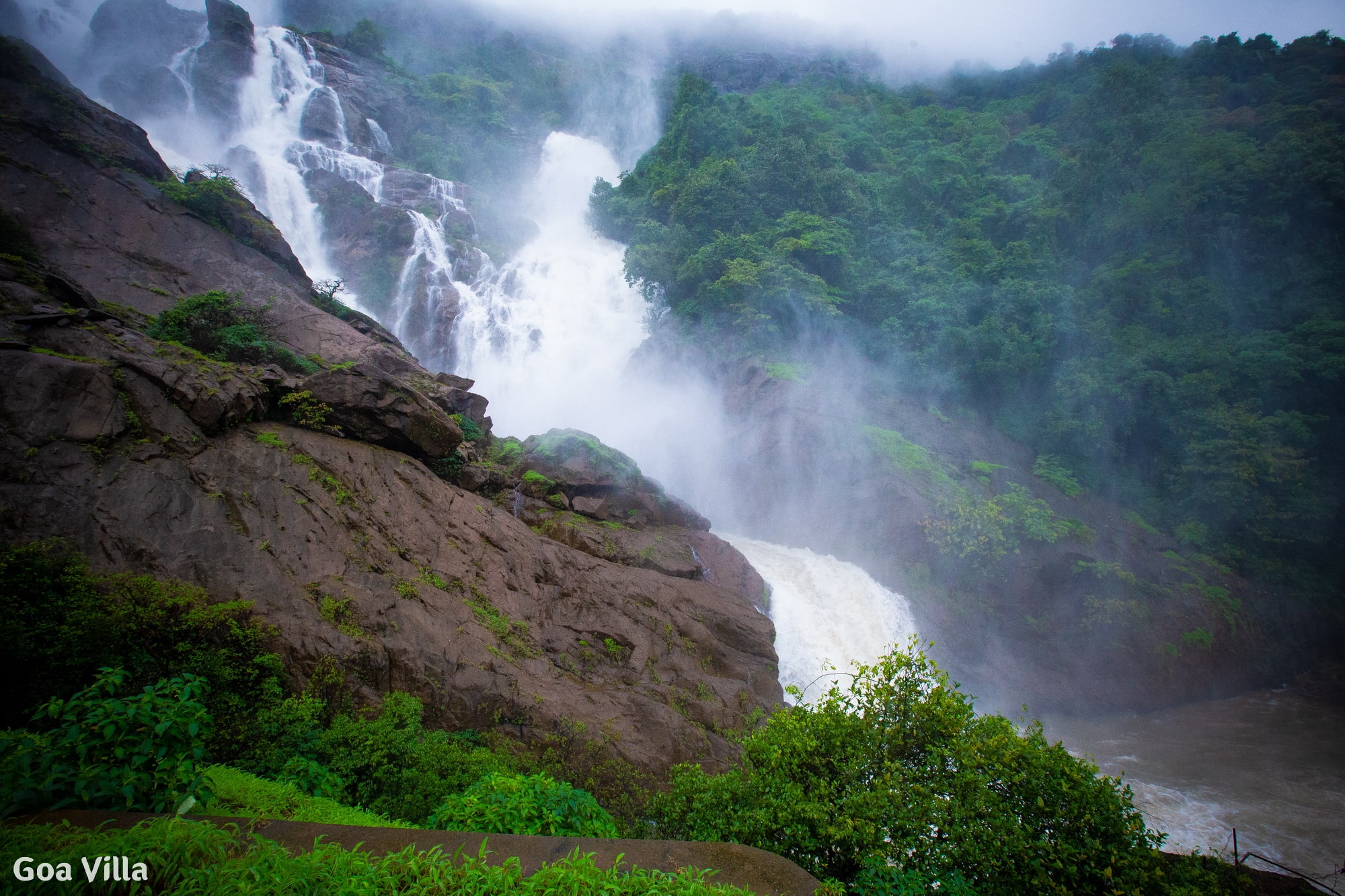 Dudhsagar Falls – the beauty of Goa