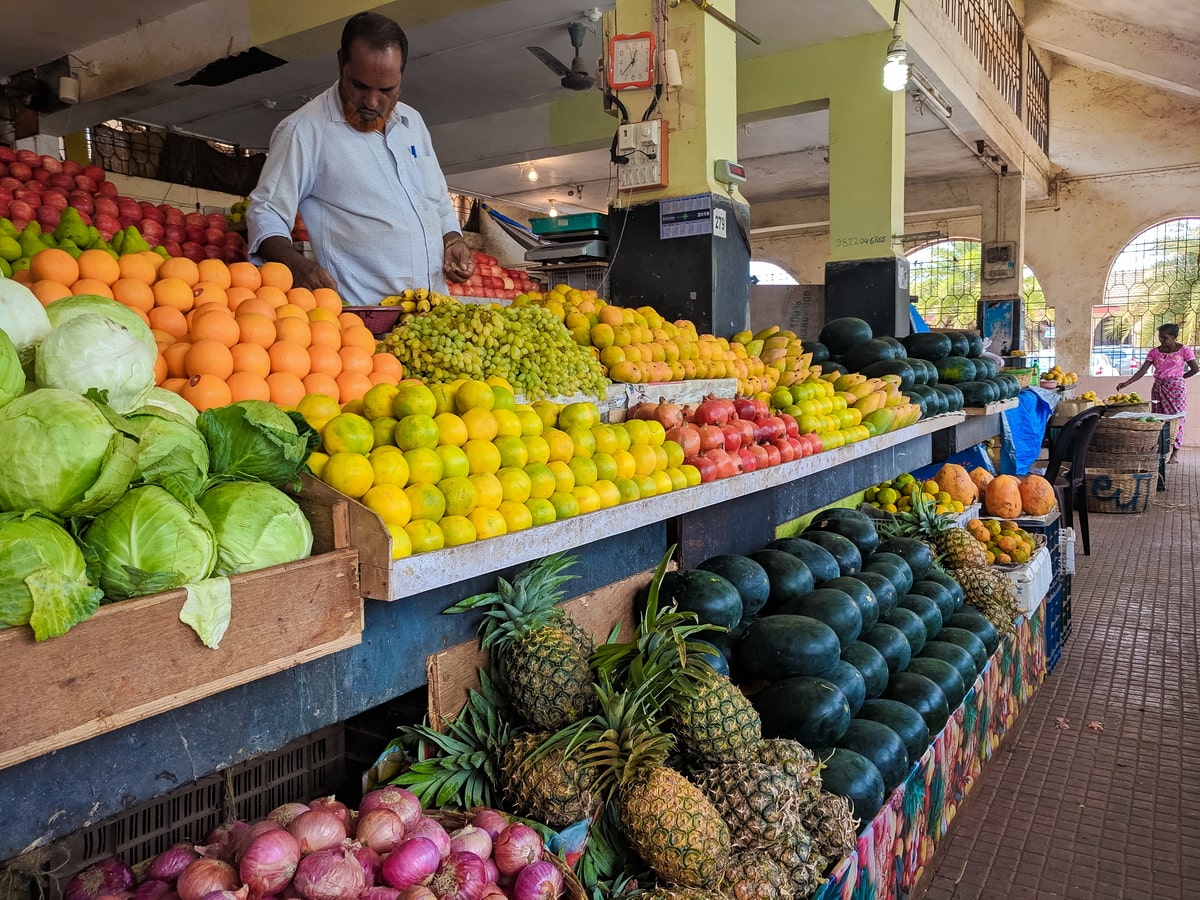 Fruits of Goa [Comprehensive Guide 2019]