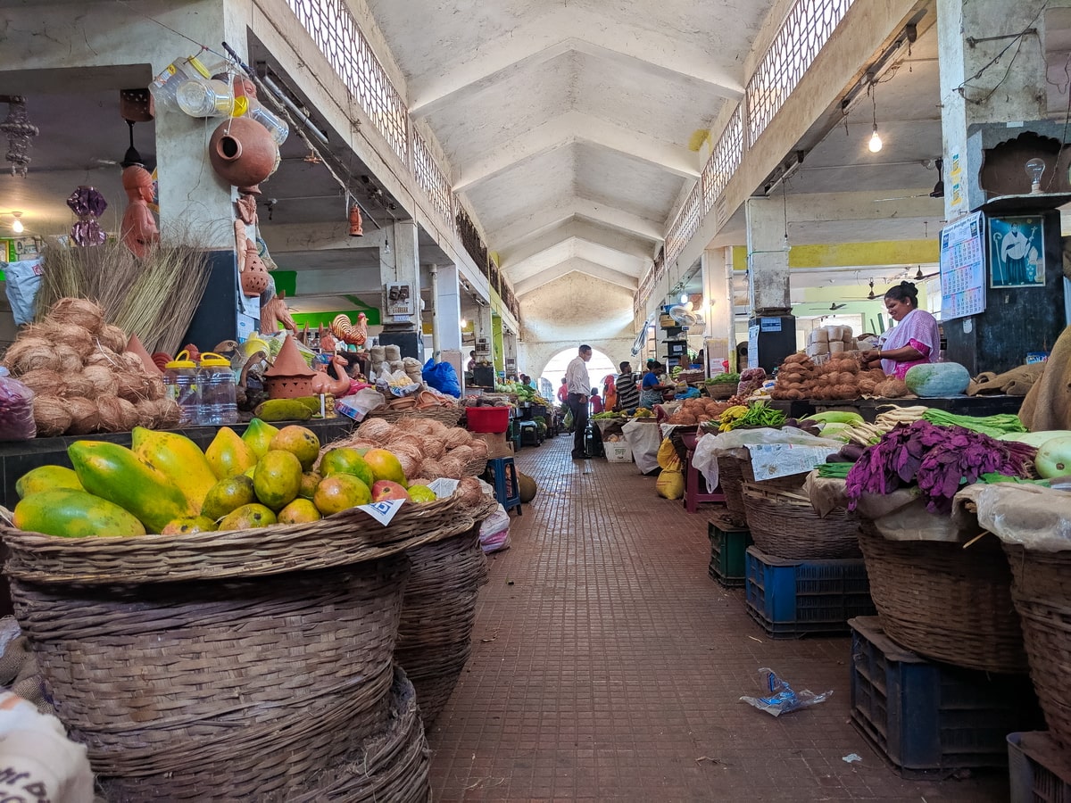 Fruits of Goa [Comprehensive Guide 2019]