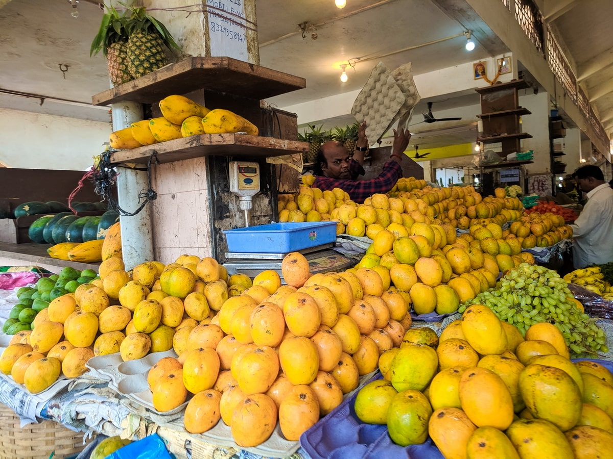 Fruits of Goa [Comprehensive Guide 2019]