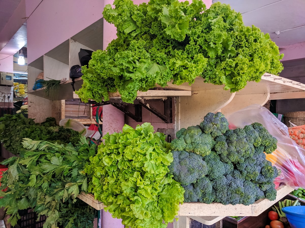 Fruits of Goa [Comprehensive Guide 2019]