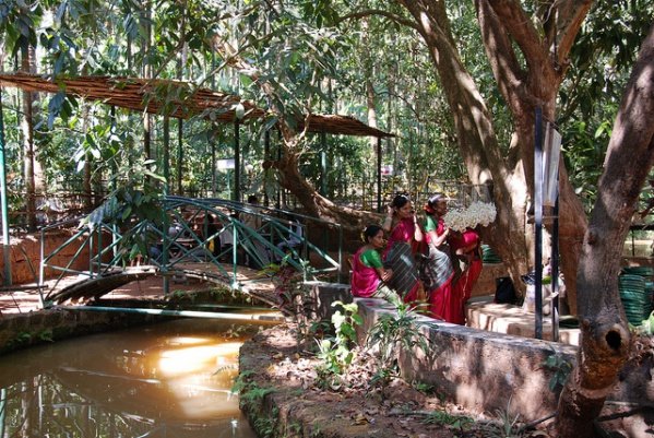 Spice Plantations in Goa