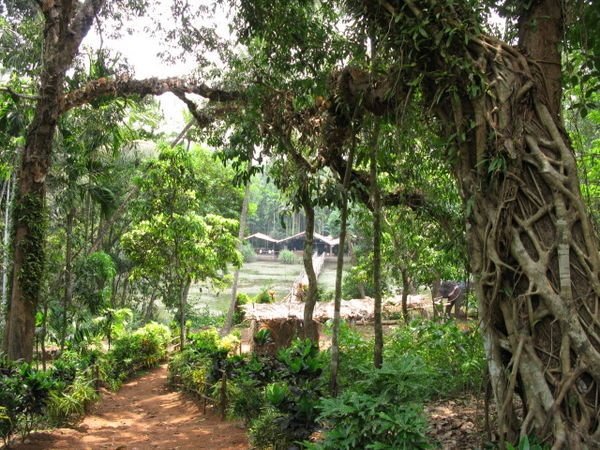 Spice Plantations in Goa